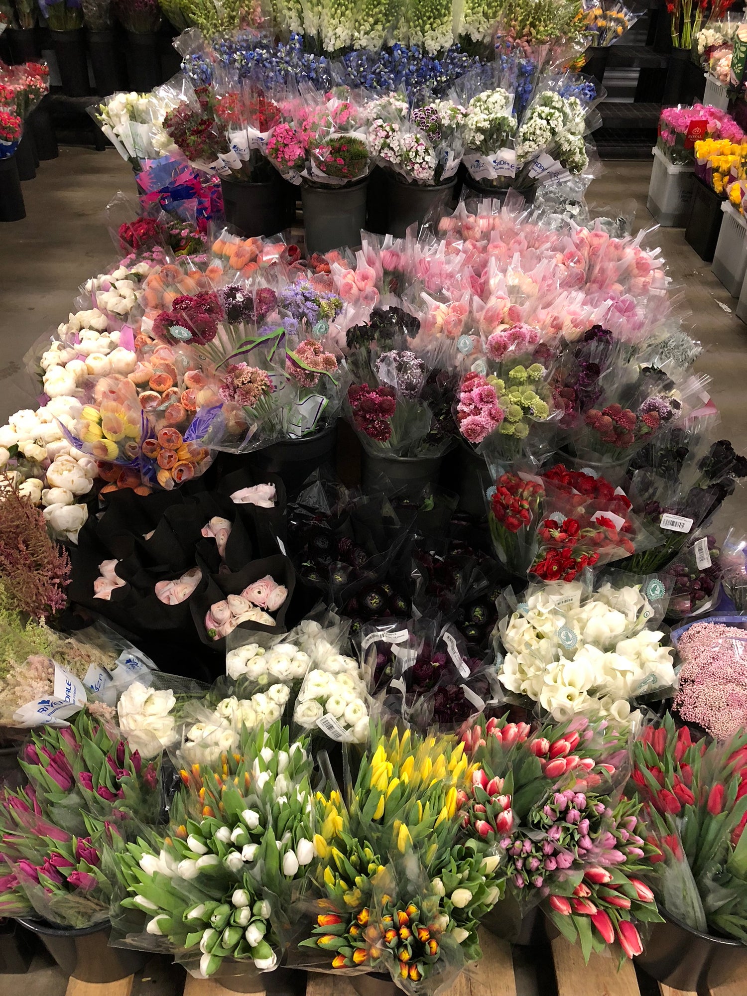 Metro Flower Market