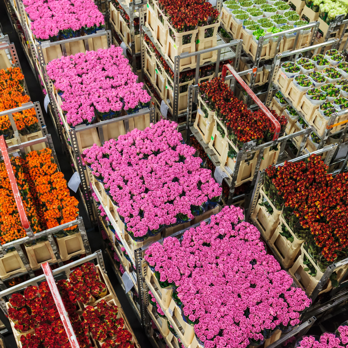 Metro Flower Market