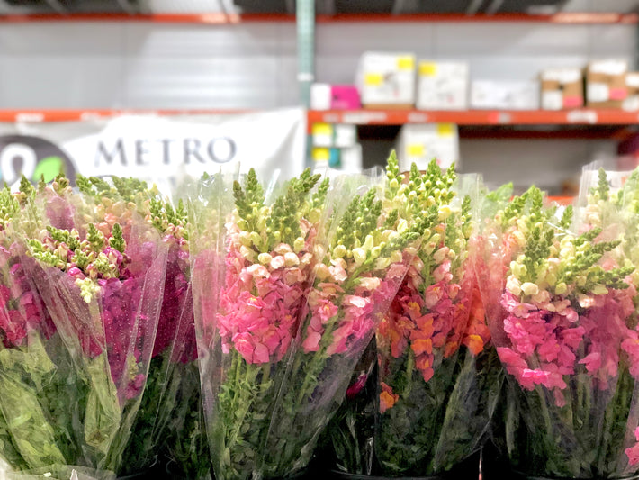 Metro Flower Market