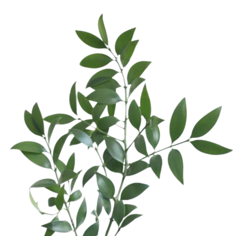 Nagi – Metro Flower Market